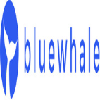 Blue Whale Apps Profile & Reviews - Techreviewer