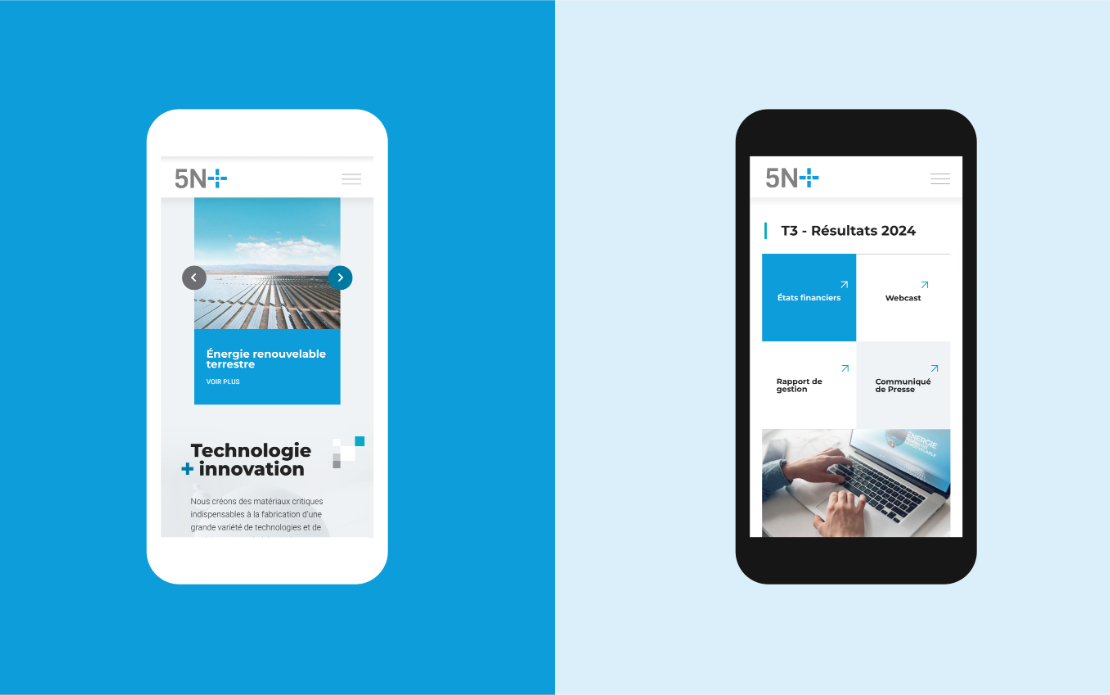 5N Plus - Reptile case study | Techreviewer.co