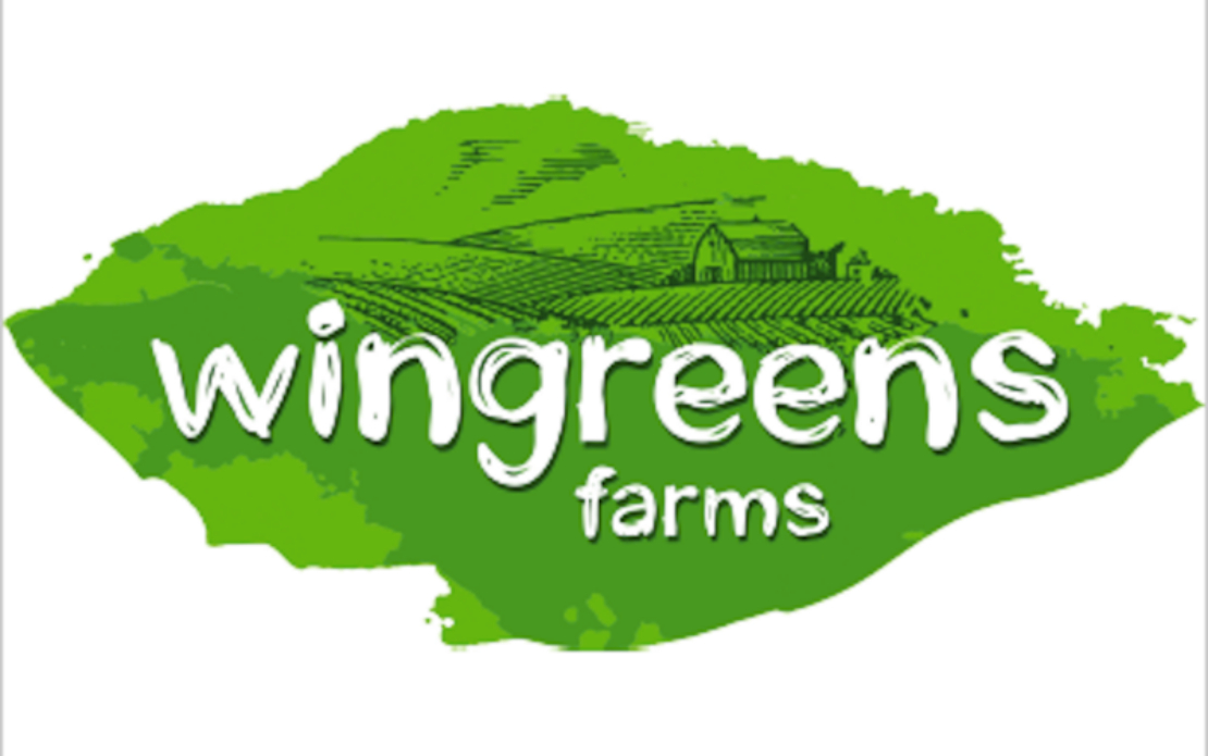 Wingreens - Codilar Technologies Pvt Ltd case study | Techreviewer.co