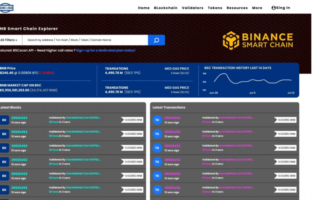 Binance Smart Chain Development - Fire Bee Techno Services case study ...