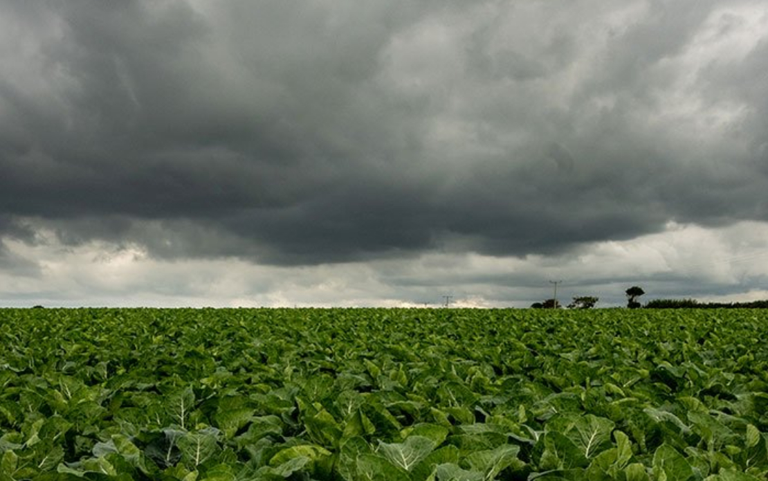 Professional IoT Weather Station for Rugged Environments - findyIoT case study | Techreviewer.co